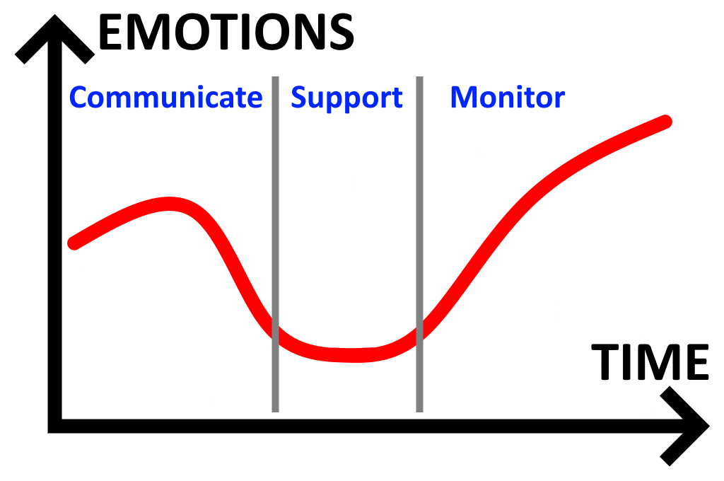 You'll Get It - Management-Change-Curve